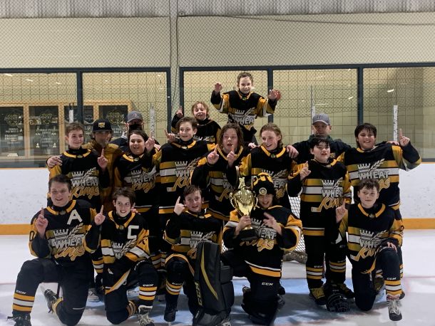 Hockey Brandon : Powered by GOALLINE